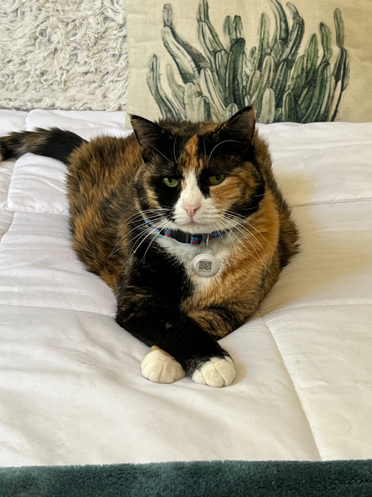 Stories – System Saver